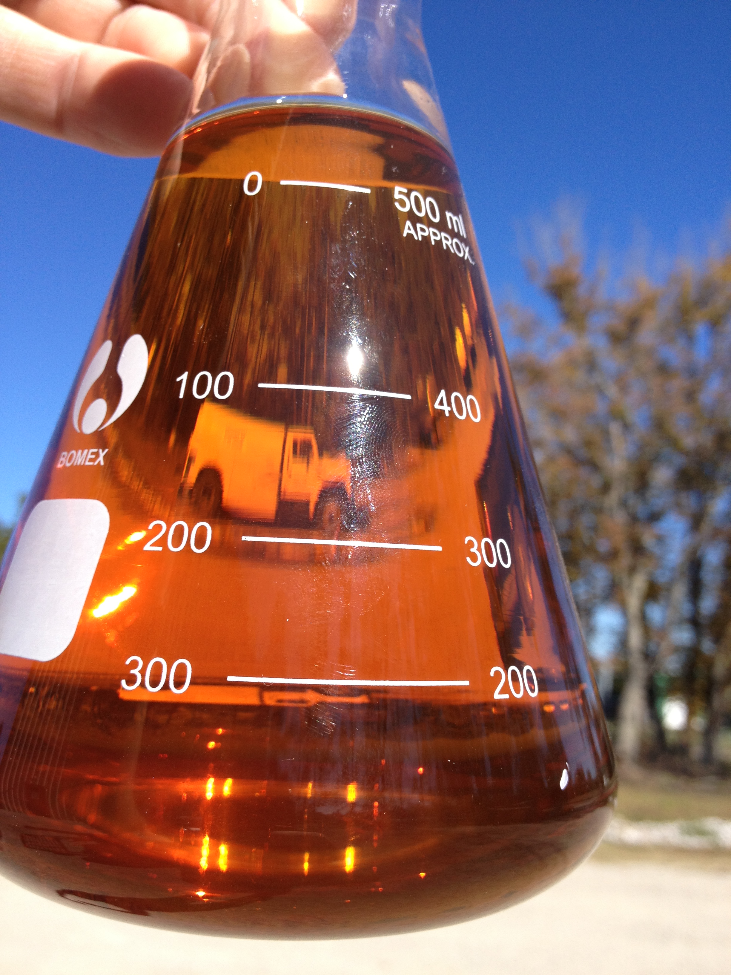 FAME Biodiesel sample – Triangle Biofuels Industries